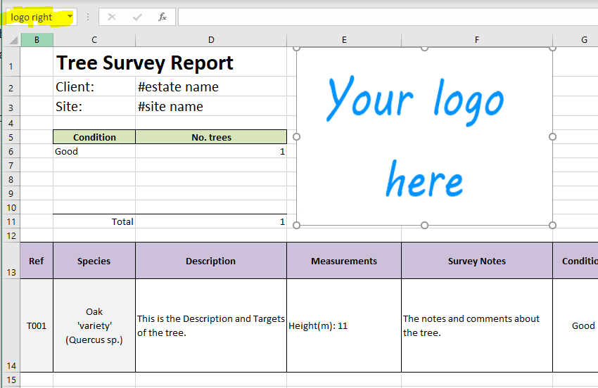 Excel Template Reports OTISS Support