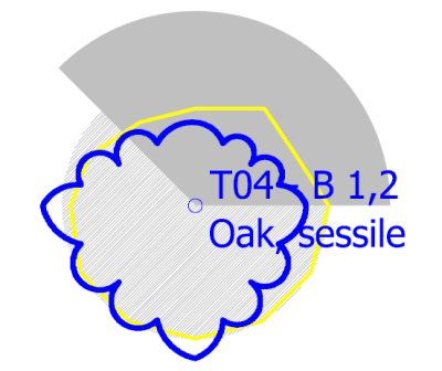 BS5837 Surveys – OTISS