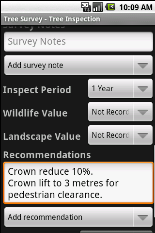 Tree Safety Inspections – OTISS